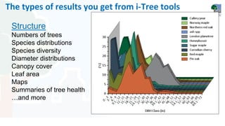 i-Tree Intro For Workshops | PDF