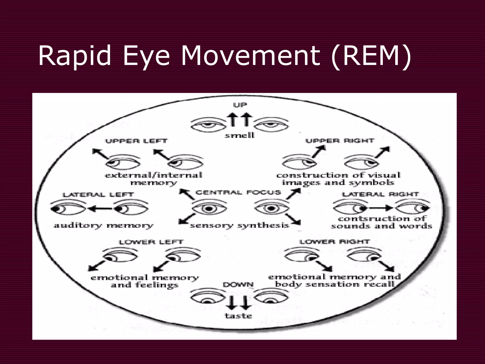 stages of sleep | PPT