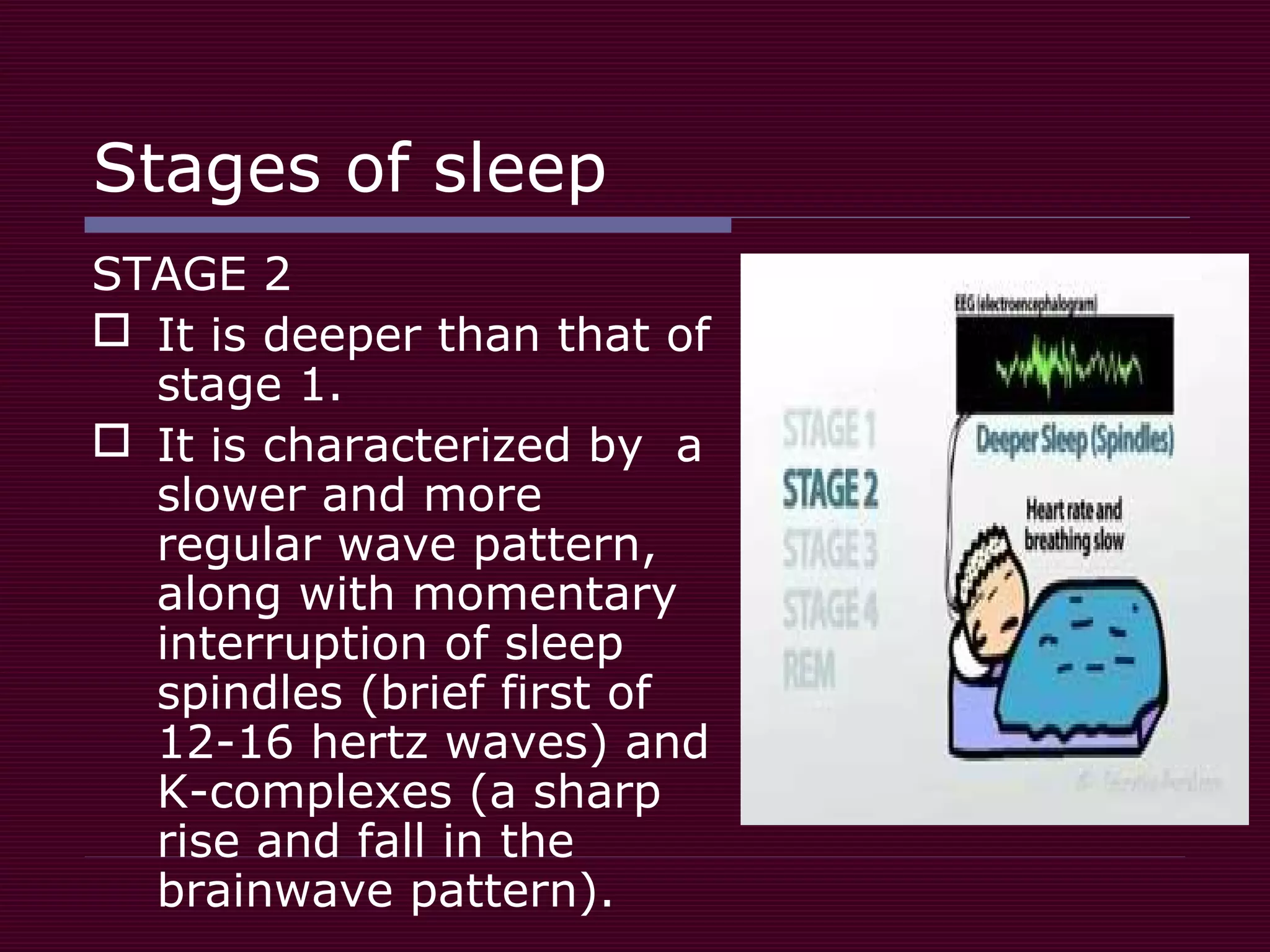 stages of sleep | PPT