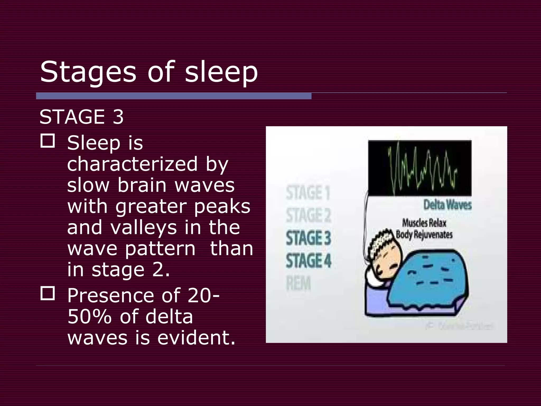 stages of sleep | PPT