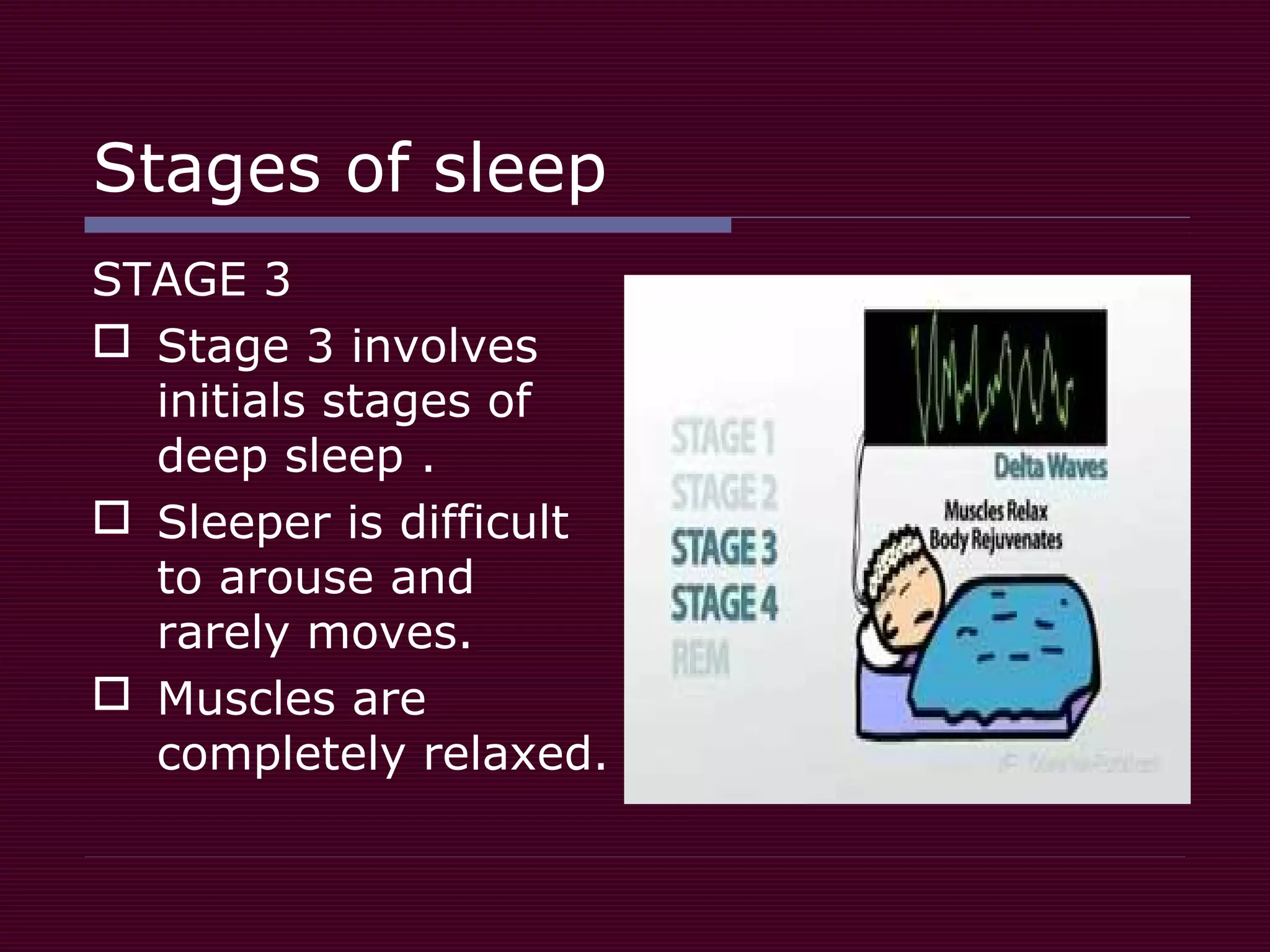 stages of sleep | PPT