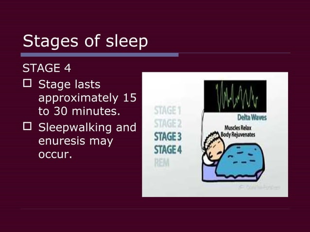 stages of sleep | PPT