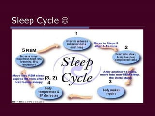 stages of sleep | PPT