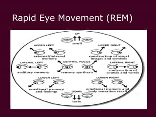 stages of sleep | PPT