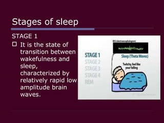 stages of sleep | PPT