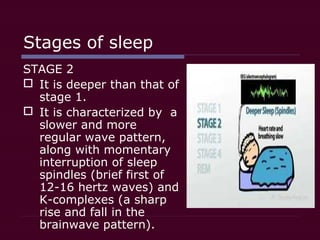 stages of sleep | PPT