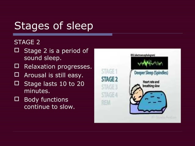stages of sleep | PPT