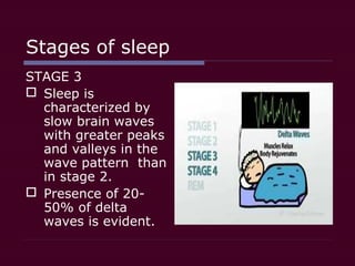 stages of sleep | PPT