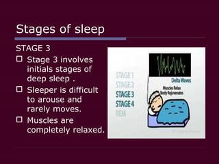stages of sleep | PPT