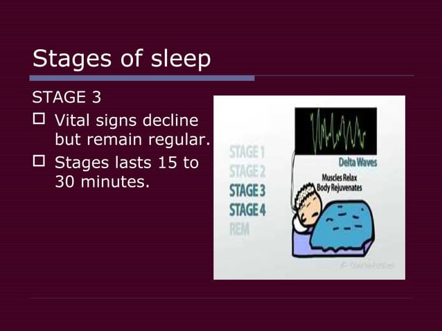 stages of sleep | PPT
