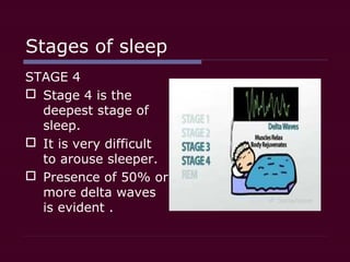 stages of sleep | PPT