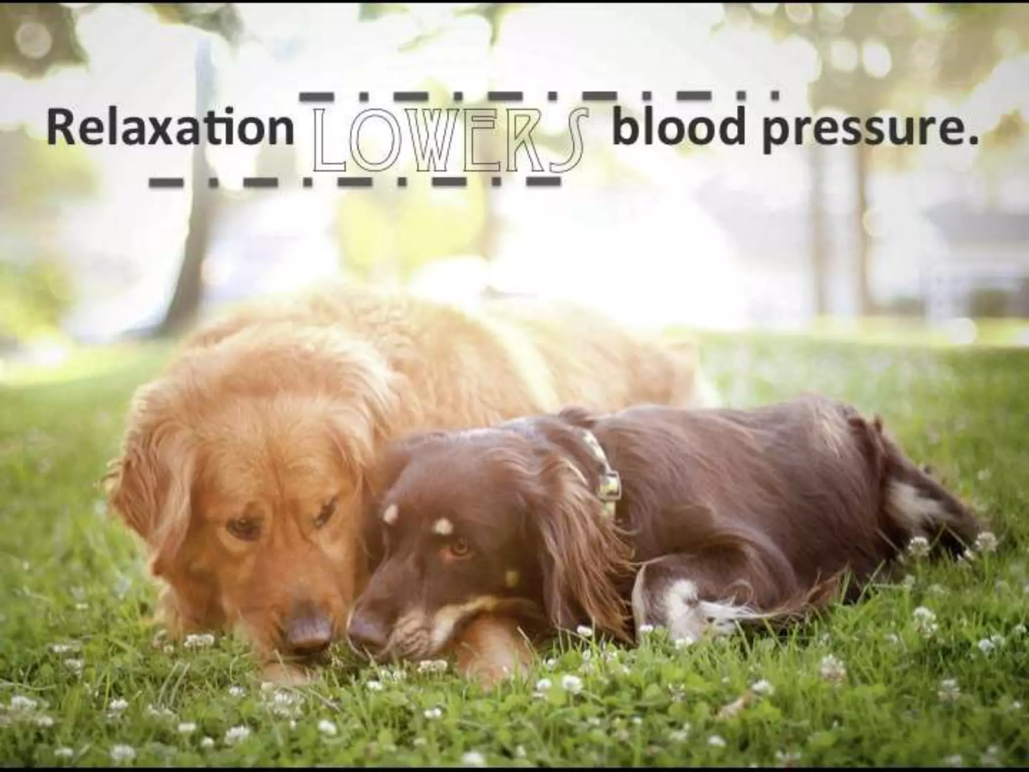 5 Reasons to Relax More Often | PPT