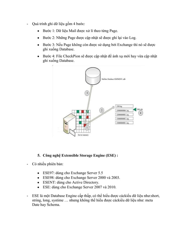 Mailbox database & public folder | PDF