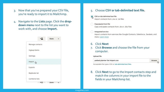 Mailchimp 101 : Newsletter | PPT