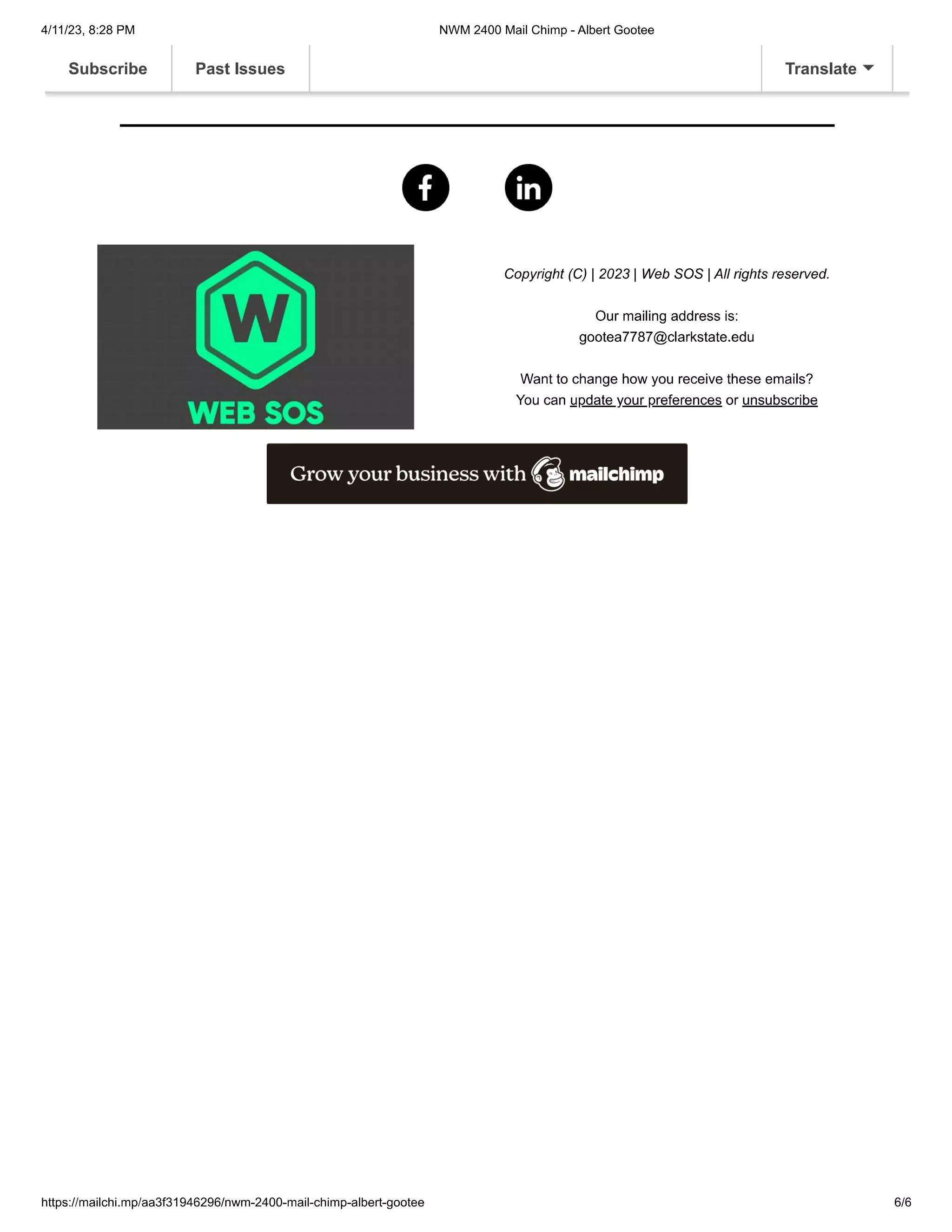 MailChimp Campaign.pdf