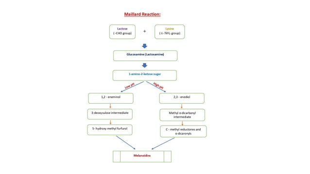 Maillard browning reaction in Dairy products | PPTX