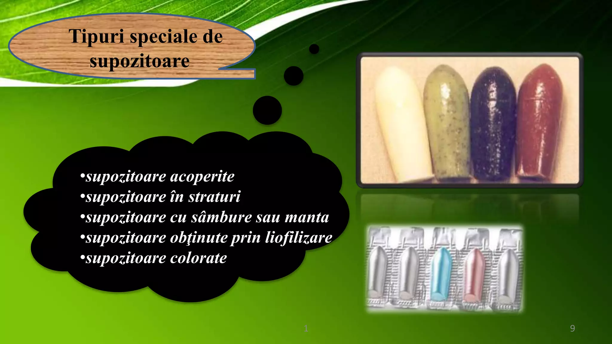 maimascu alina 3fppt licenta.pptx