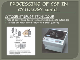 CYTOLOGY OF CSF | PPTX