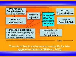 Aggressive Behavior In Children | PPT