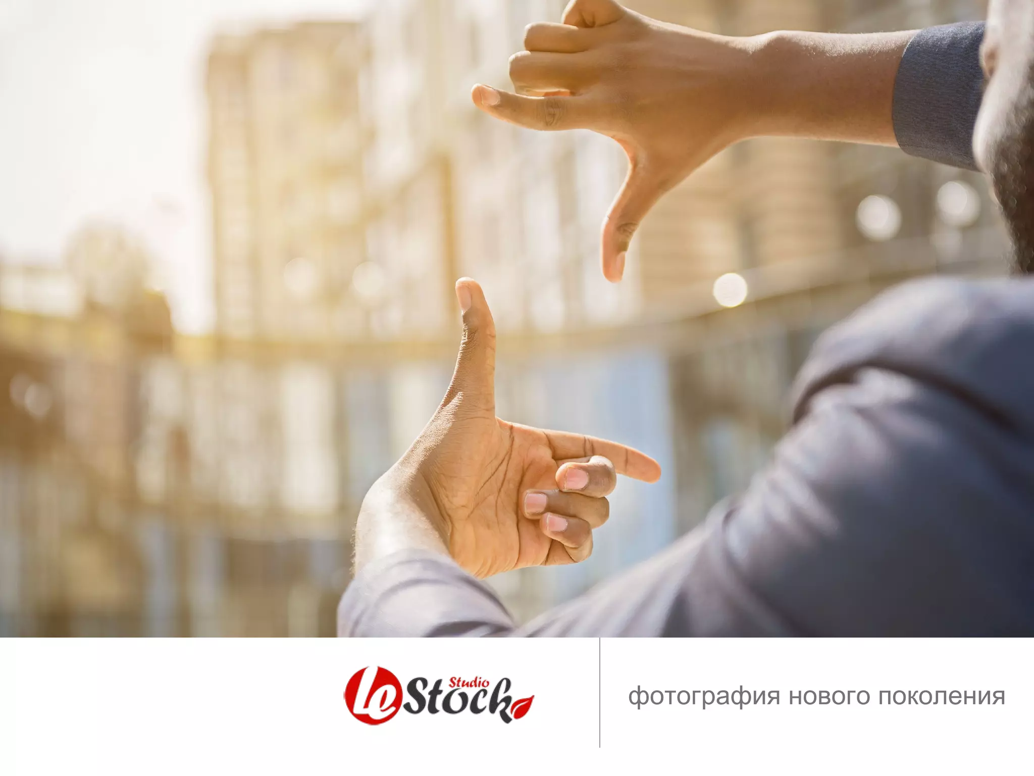 Le Stock presentation | PPT