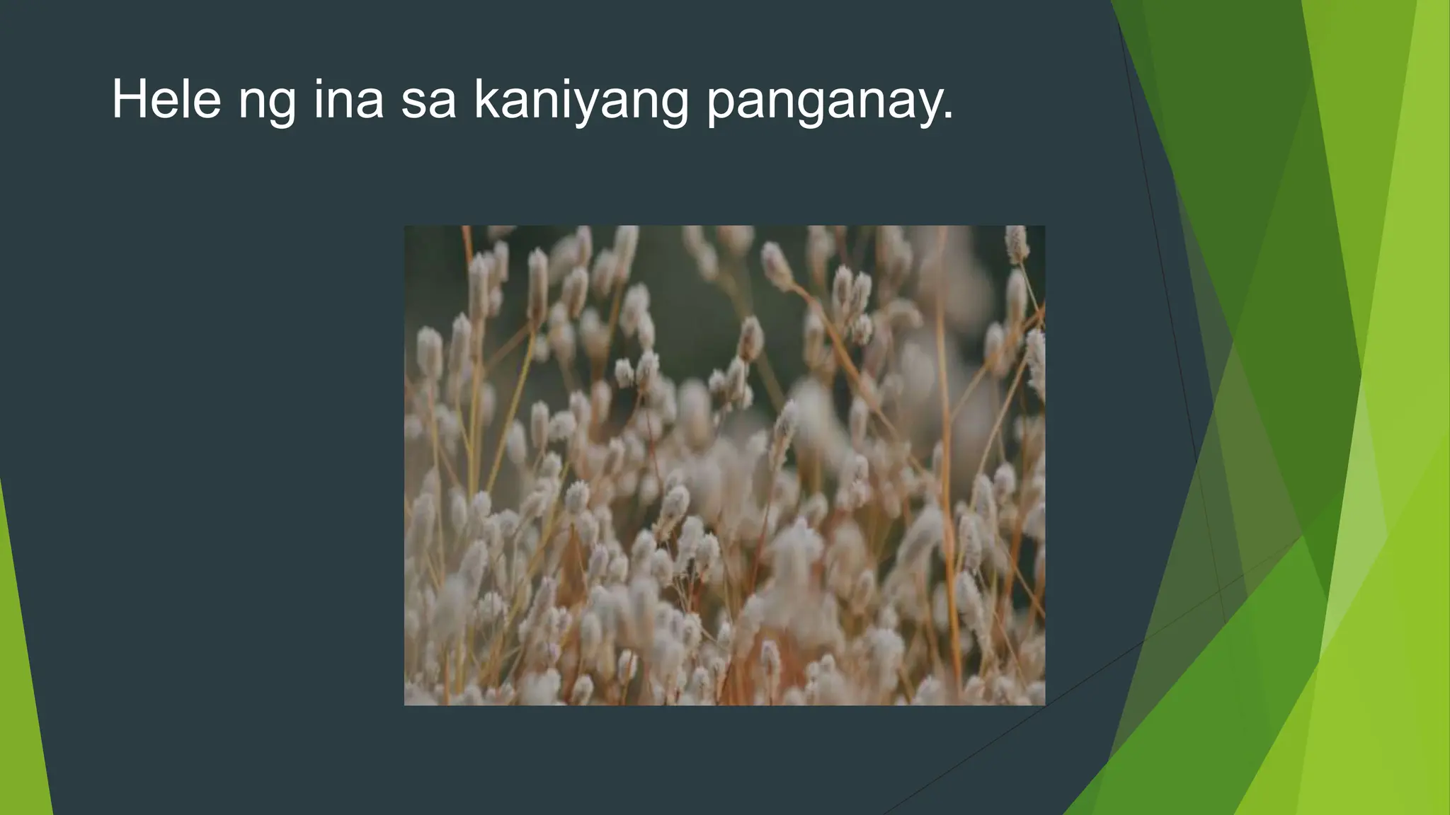 Aktibidad sa Araling Panlipunan 3.4 - Hele Ng Ina sa Kaniyang Panganay ...