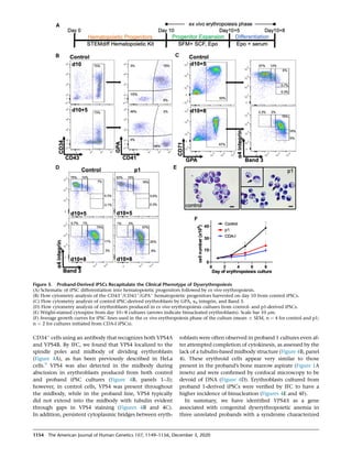 VPS4a scientific article related to medical genetic.pdf