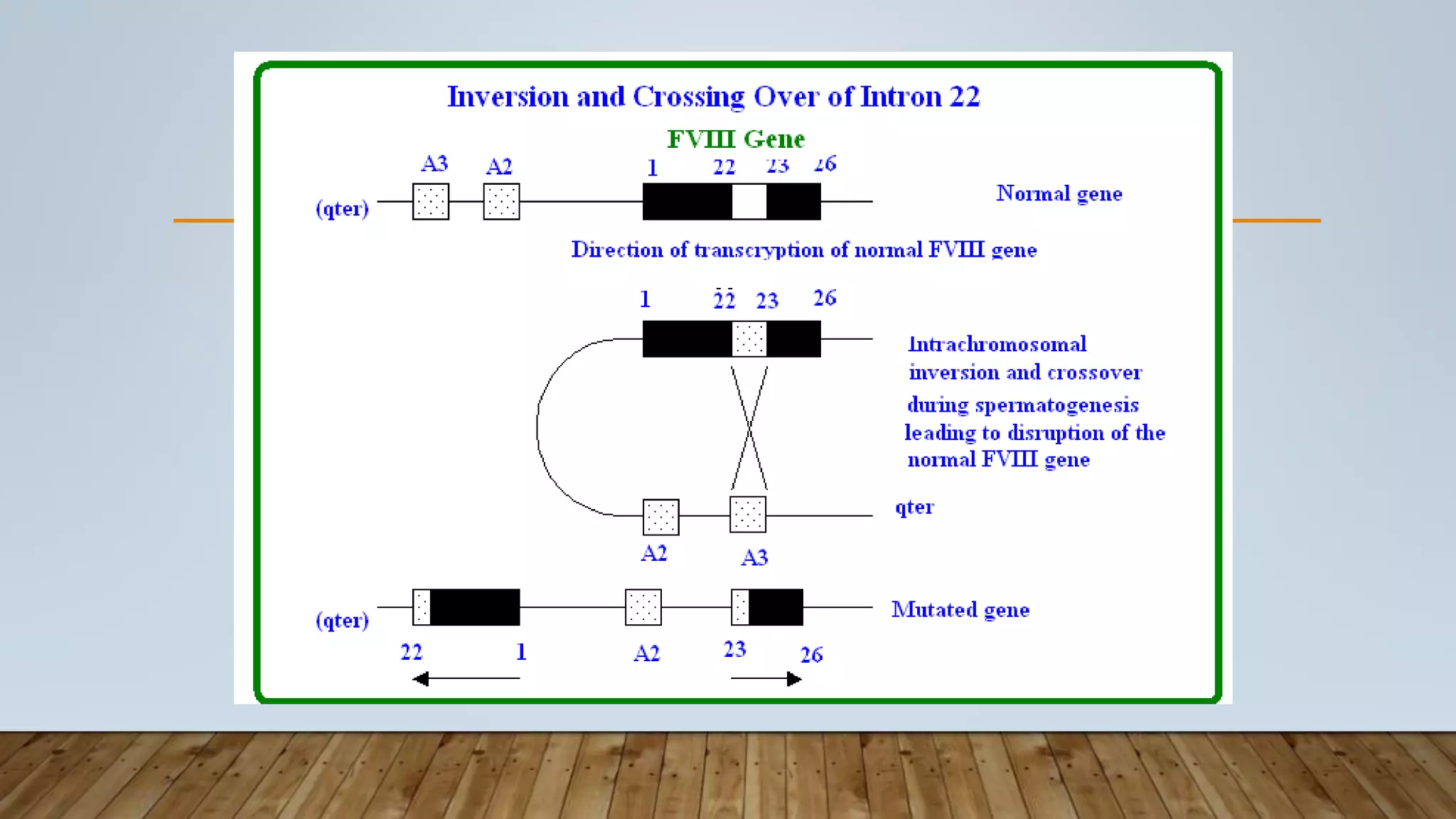 Inherited Bleeding Disorders | PPTX