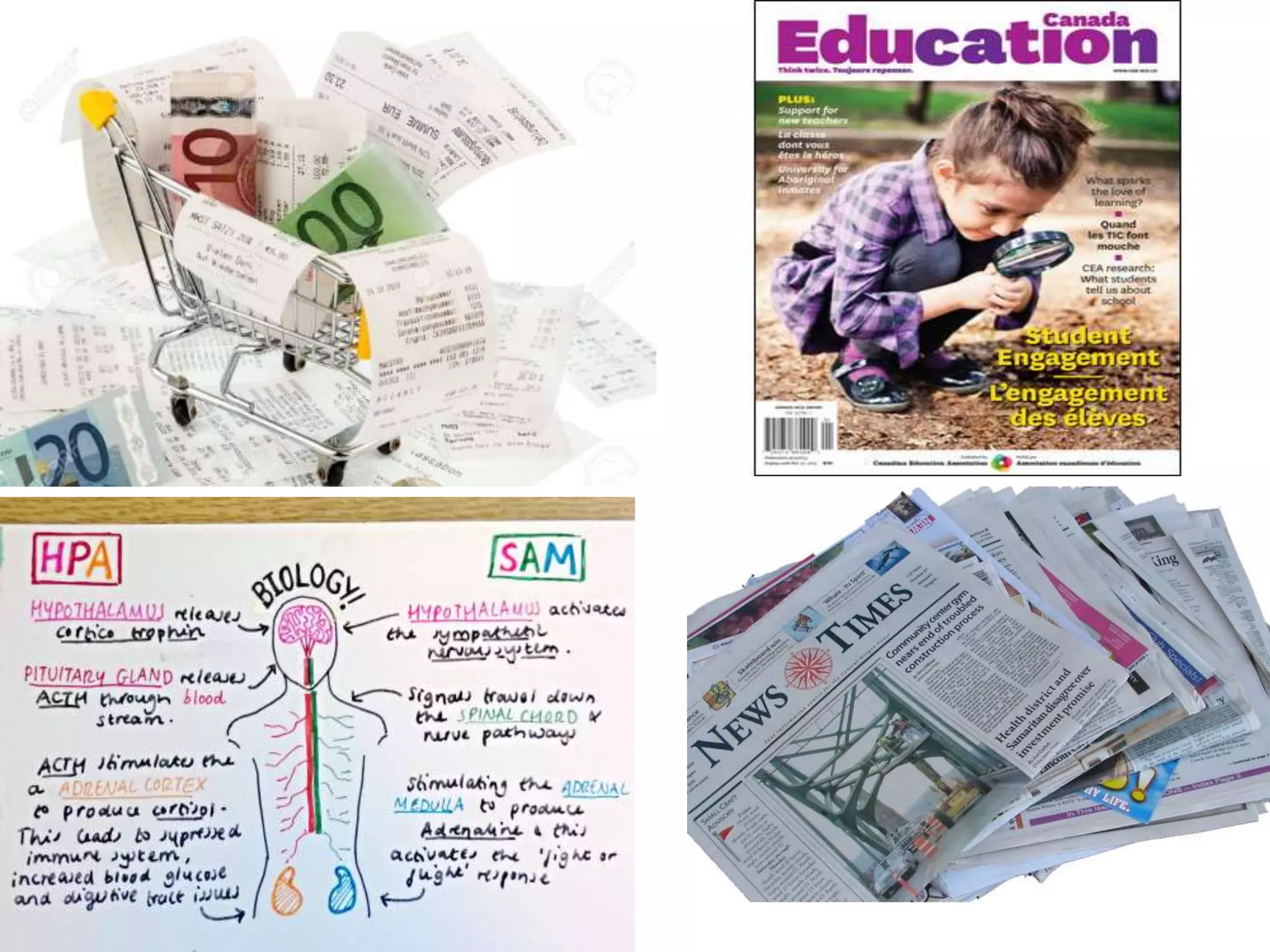 Principles in Materials Design - Advantages and Disadvantages of ...