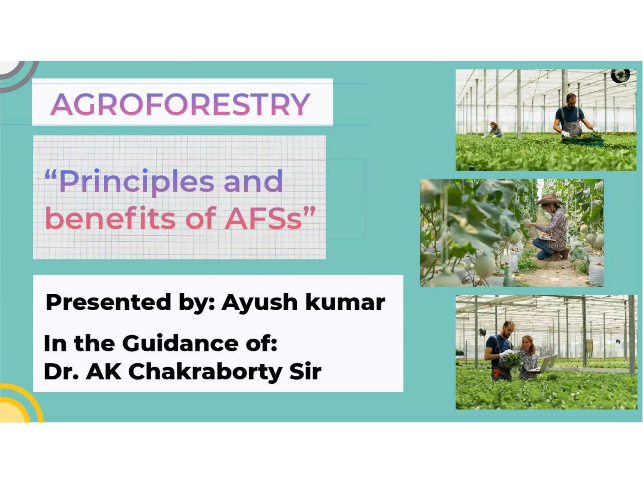 Principles and Benifits of Agroforestry Systems | PPTX