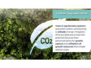 Principles and Benifits of Agroforestry Systems | PPTX