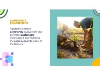Principles and Benifits of Agroforestry Systems | PPTX