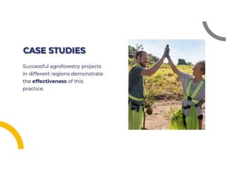 Principles and Benifits of Agroforestry Systems | PPTX