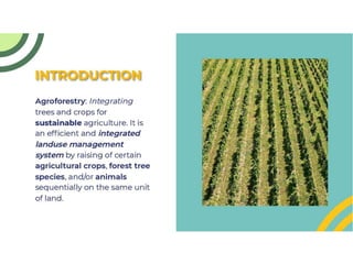 Principles and Benifits of Agroforestry Systems | PPTX