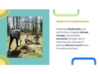 Principles and Benifits of Agroforestry Systems | PPTX