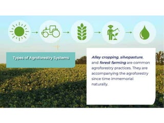 Principles and Benifits of Agroforestry Systems | PPTX