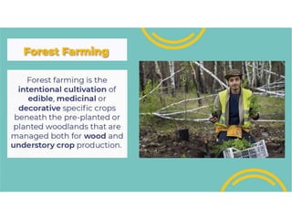 Principles and Benifits of Agroforestry Systems | PPTX