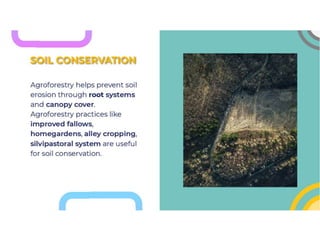 Principles and Benifits of Agroforestry Systems | PPTX