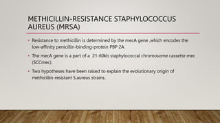 Main antimicrobial resistance pattern in bacteria.pptx