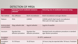 Main antimicrobial resistance pattern in bacteria.pptx