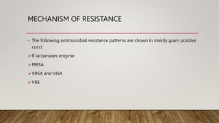 Main antimicrobial resistance pattern in bacteria.pptx