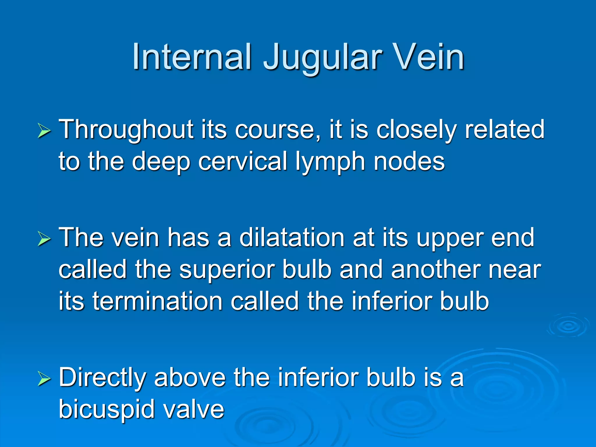 Main Arteries and Veins of the human Neck | PDF