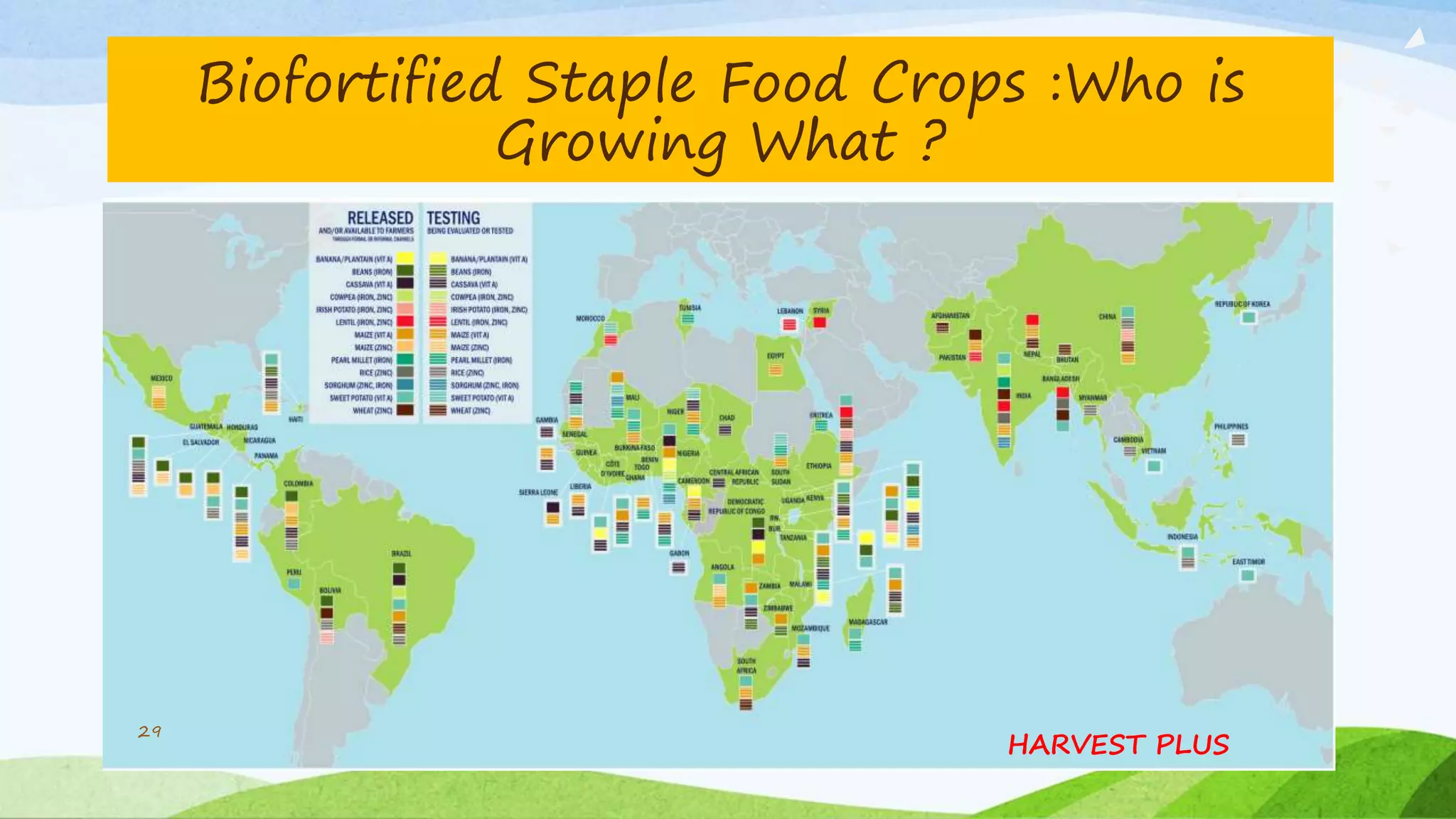 Biofortification: Indian and Global Scenario For Crop Improvement | PPTX