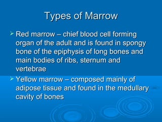 stages of bone formation | PPT