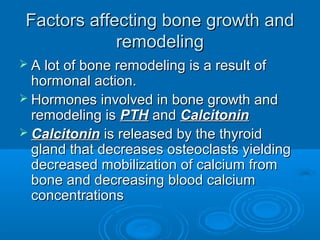 stages of bone formation | PPT