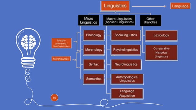 Main Branches of Linguistics LEPURA.pptx