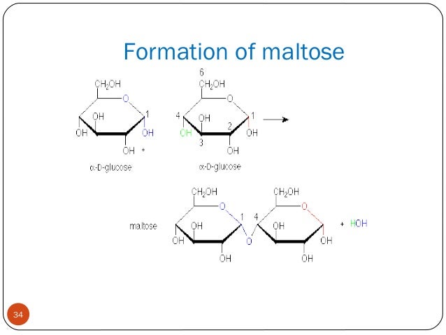 carbohydrate Chemistry