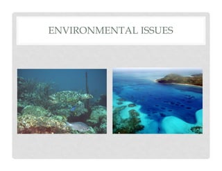 Main Caribbean pipeline | PDF