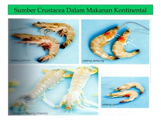 Pengolahan dan penyajian makanan utama Main Course (Ikan new).ppt