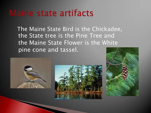 Maine state report | PPT