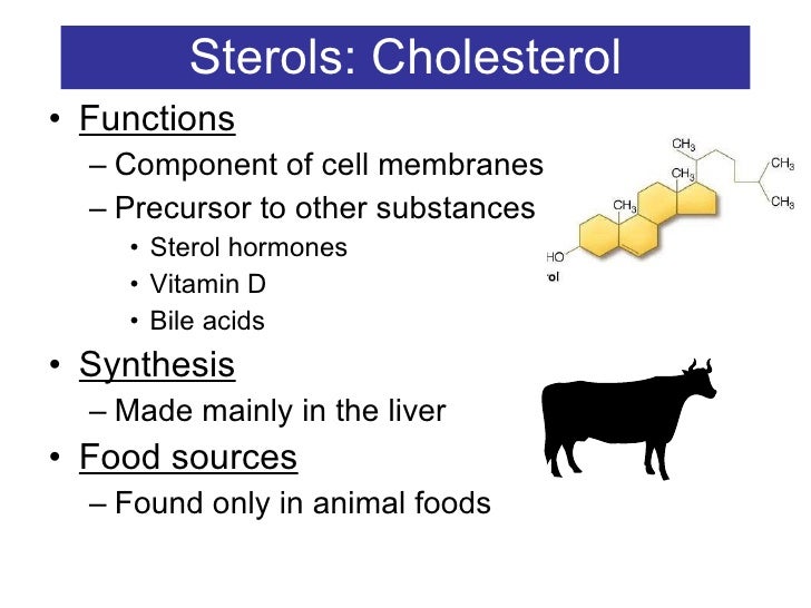 Main lecture for lipids